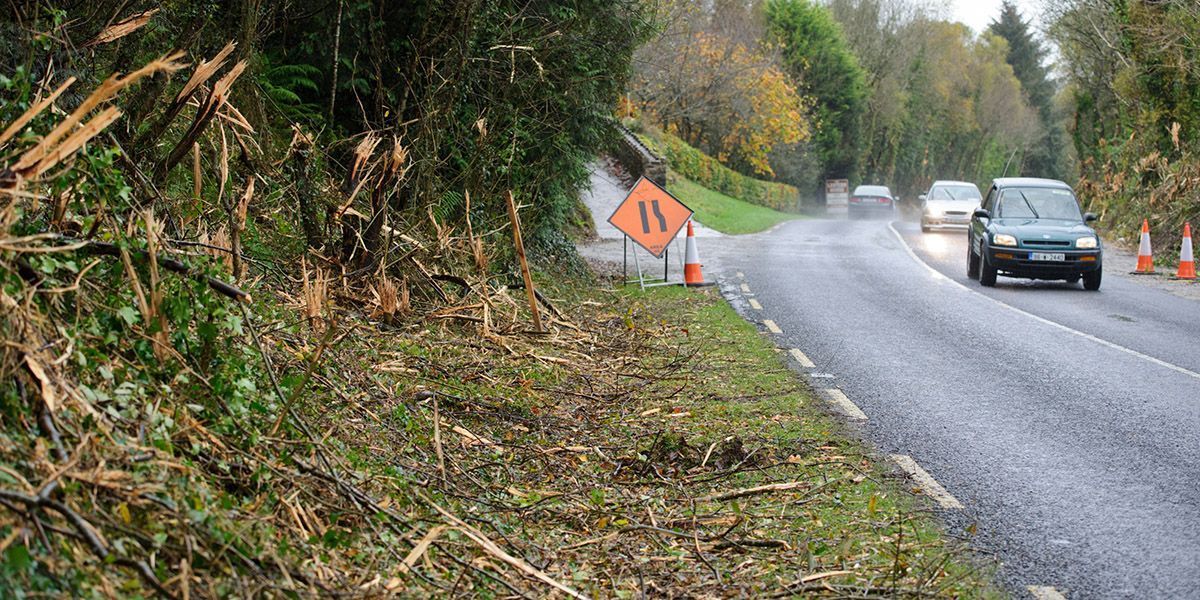 Civil war in West Clare over road hedge cutting - The Clare Champion